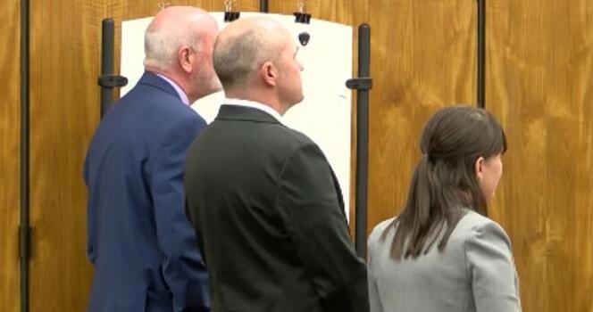 Man charged in failed Lovelock fiber optic project pleads not guilty to theft | Local News ...