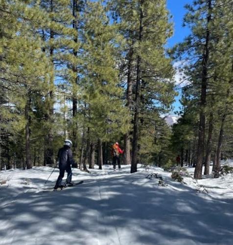 Washoe County Sheriff's Office Hasty Team Rescues Lost Skier | News ...
