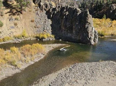 Fisherman suffers minor injuries after helicopter tumbles into East Carson River | Local News ...