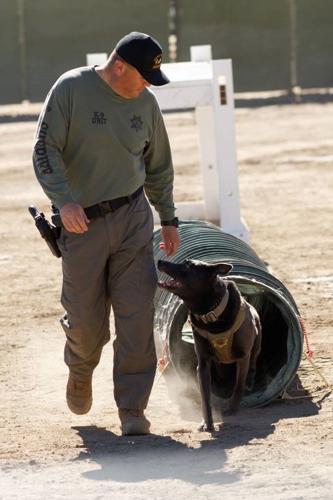 Northern Nevada K9 Teams Compete in First Regional Competition & Demo ...