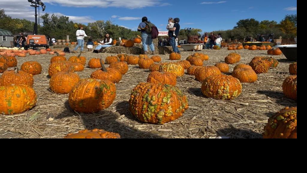 Ferrari Farms Fall Festival in Full Swing | News | 2news.com