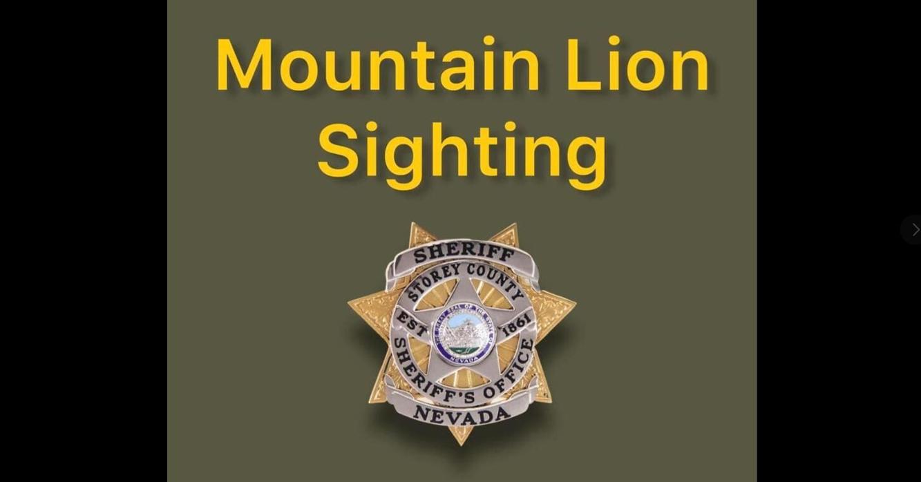 Multiple Mountain Lion Sightings in Virginia City | News | 2news.com