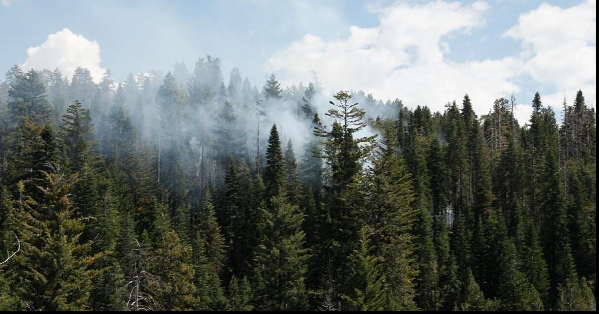 Quarry Fire Grows to 3,350+ Acres in Stanislaus National Forest | News ...