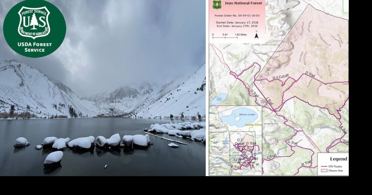 Snowbound horses moved after emergency rescue on Inyo forest ...