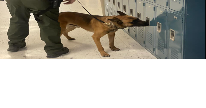 Lyon County Sheriff's Office answers questions on K9 searches at ...