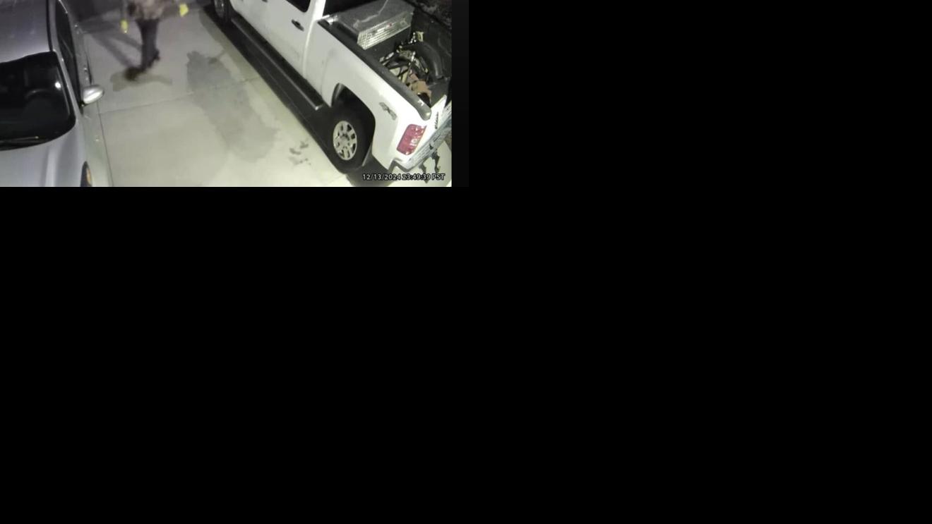 Storey County Sheriff's Office seeking assistance identifying suspect ...