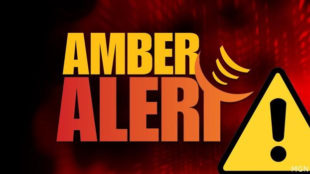 AMBER Alert cancelled after mother found who allegedly took son ...