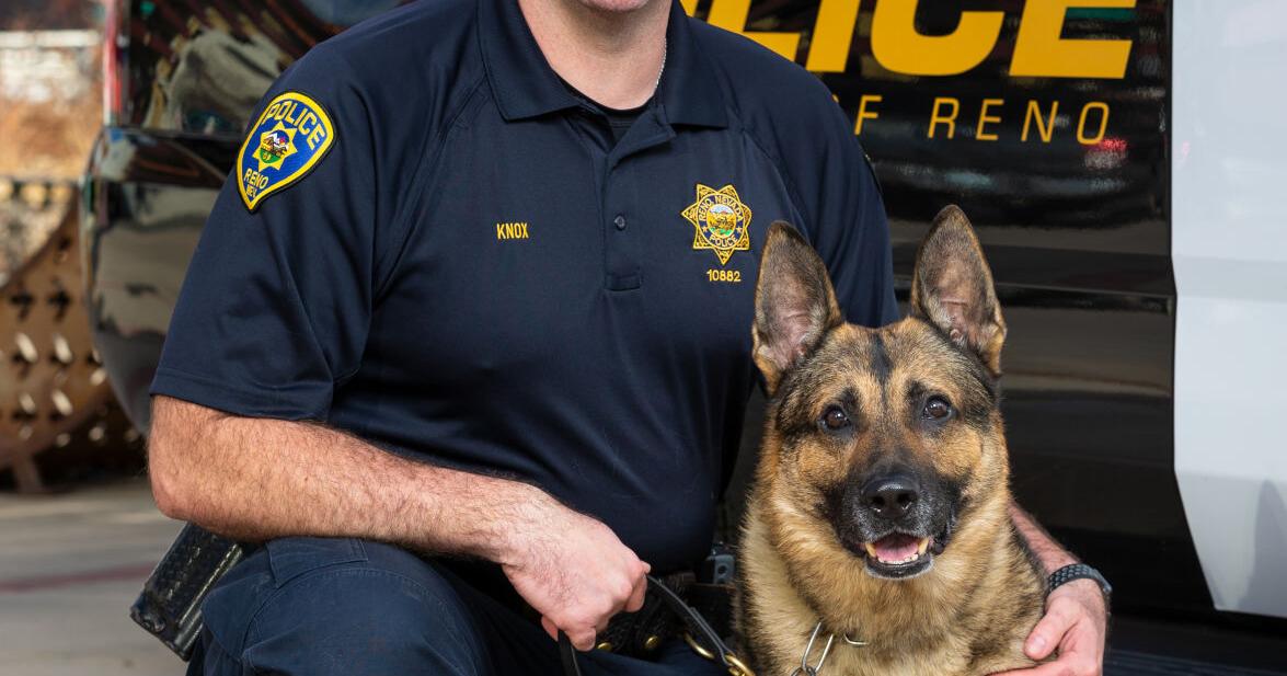 Retired RPD K9 Thor passes away | News | 2news.com