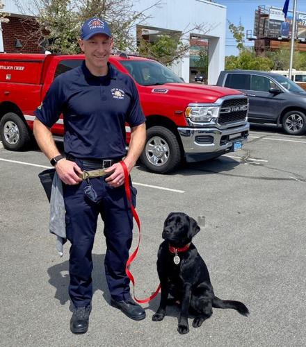 Boston Arson Dog Helps Sniff Out Arson Fires | News | 2news.com