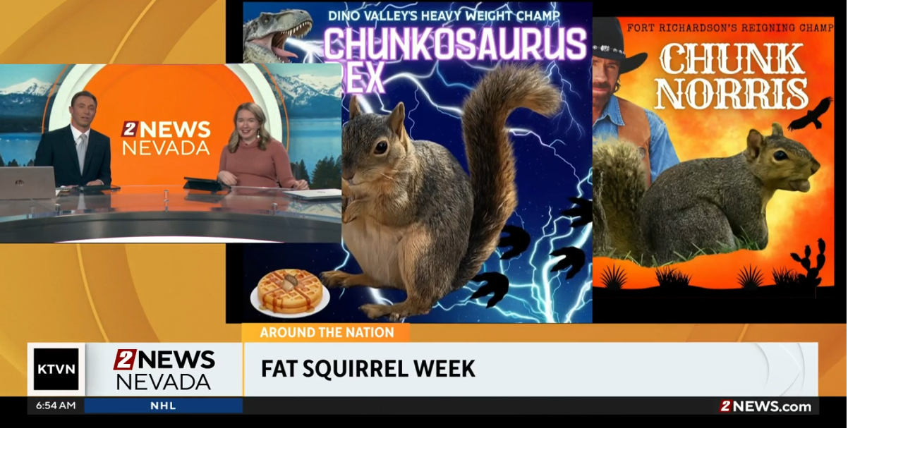 fat squirrel week