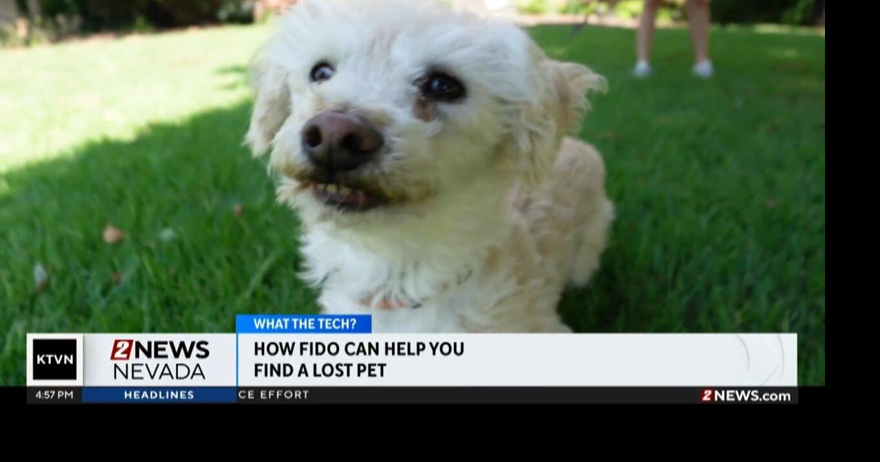 What the Tech: Fido Alert | Features | 2news.com