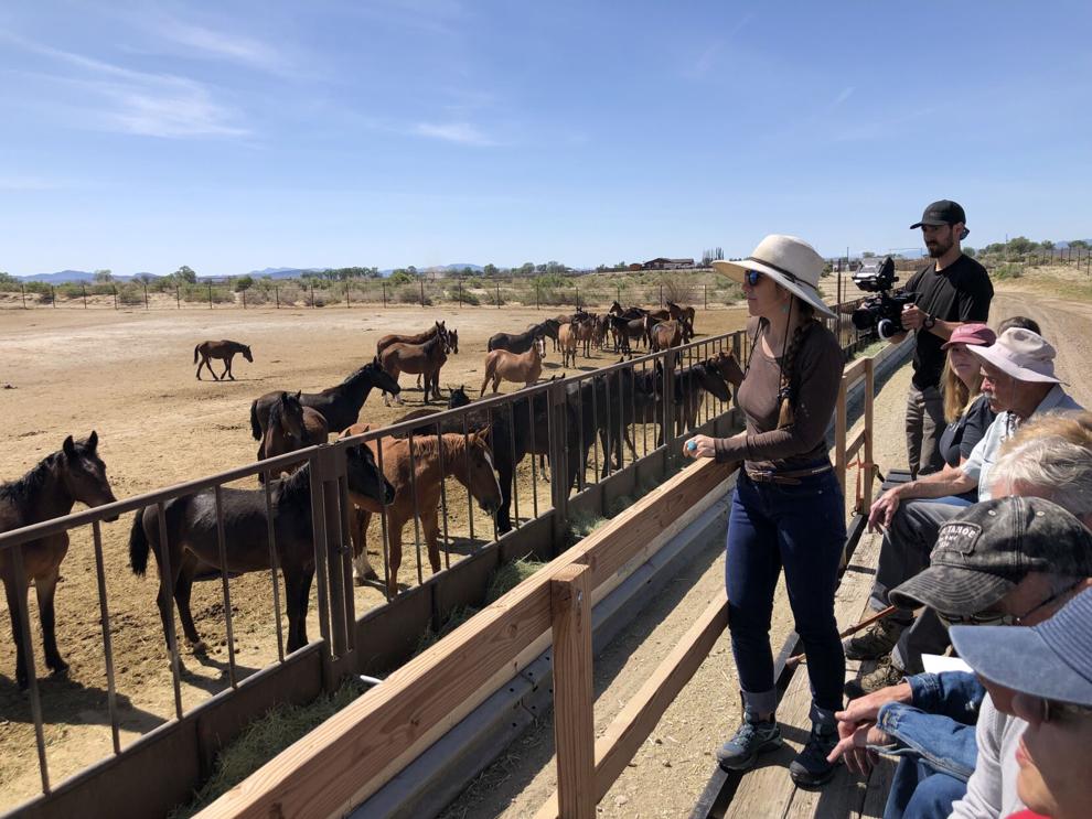 BLM Offering Public Tour of Indian Lakes Off-Range Corrals in Fallon ...