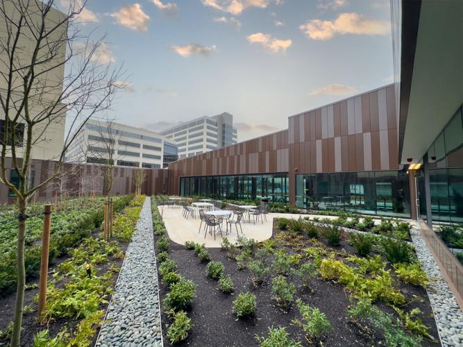 $265M Overlake Medical Center Project Concludes | News | 425business.com