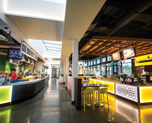 Feeding Microsoft with Hydroponics | News | 425business.com