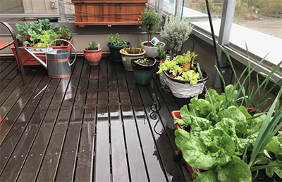 24 Hours: Lisa Rosenblum | Lifestyle | 425business.com