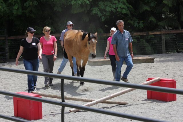 Leadership Challenge: Can You Lead a Horse to Water? | News ...