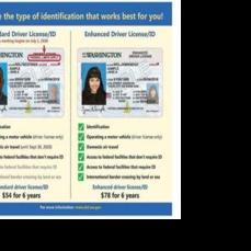 New Marking on Driver Licenses and ID Cards Begins July 1 | News ...