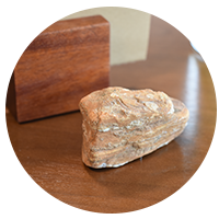 Morgan Collins | Lifestyle | 425business.com