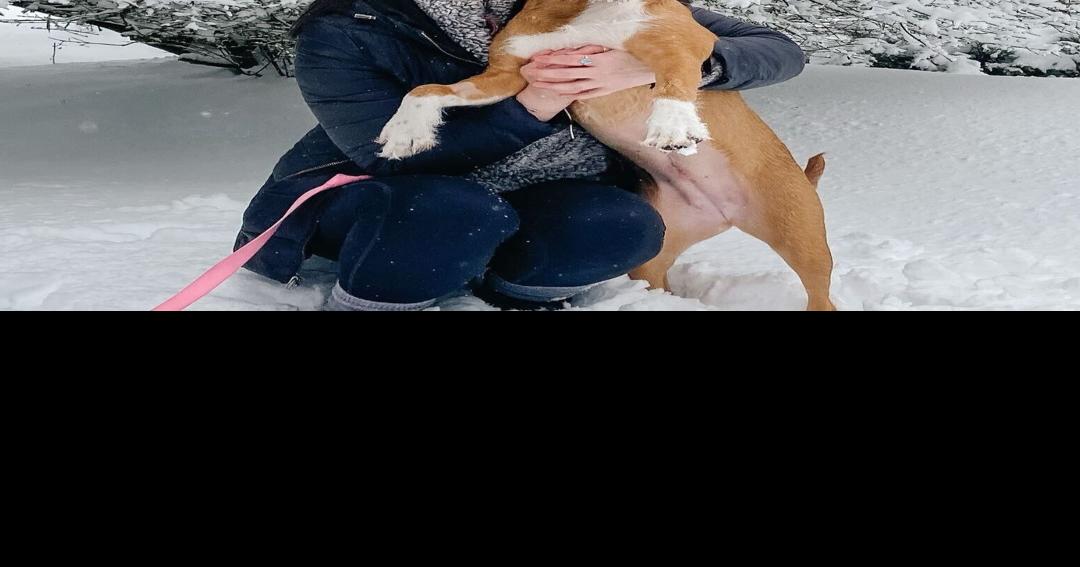 Meagan Phillips | | 425business.com