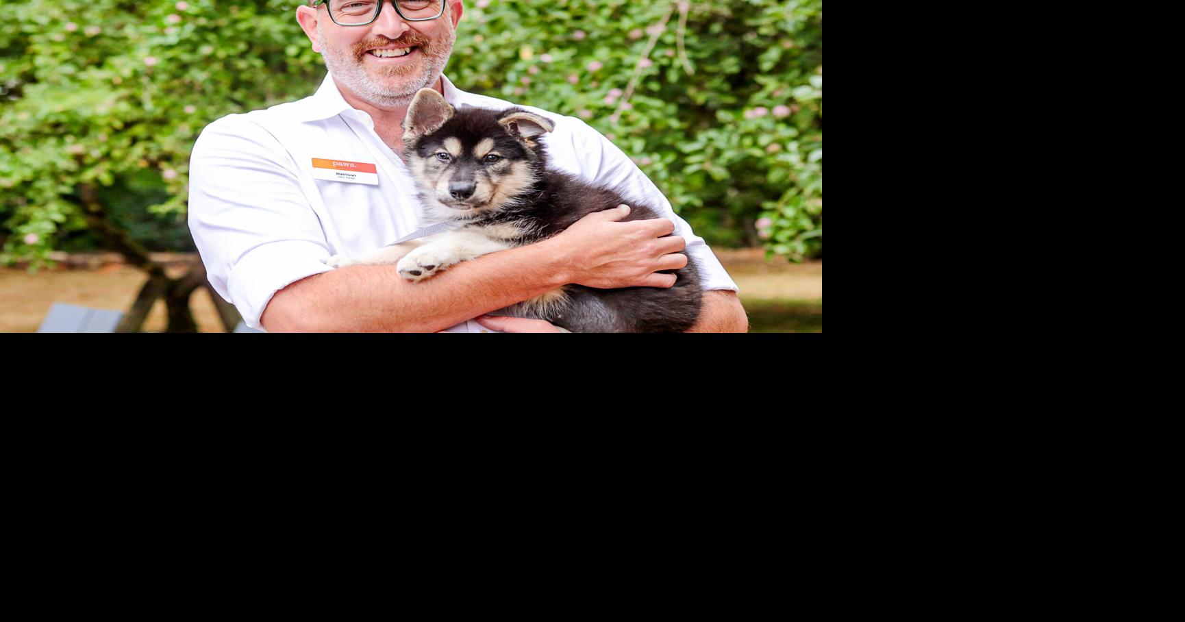 PAWS Has a New CEO | Culture + Life | 425magazine.com