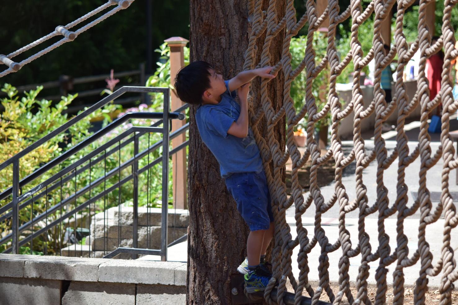 Raising Bright Minds at Montessori Children’s House | Culture ...