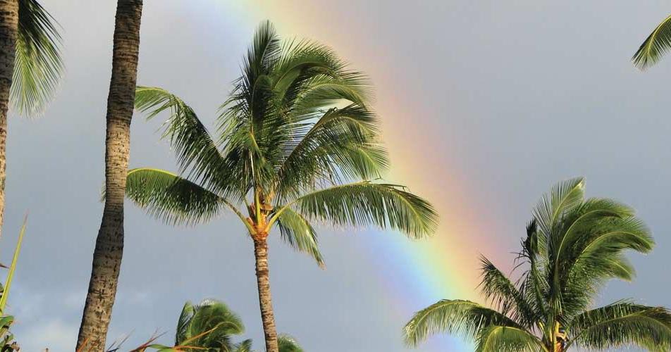 Hawaiian Hyperbole | Travel + Outdoors | 425magazine.com