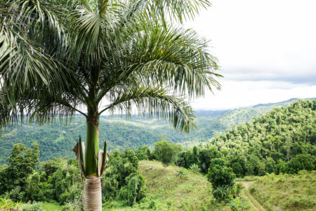 Hello, Puerto Rico — So Glad to Finally Meet You | Travel + Outdoors ...