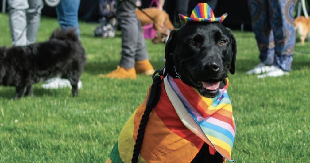 2 Eastside Pride Events to Check Out | Culture + Life | 425magazine.com