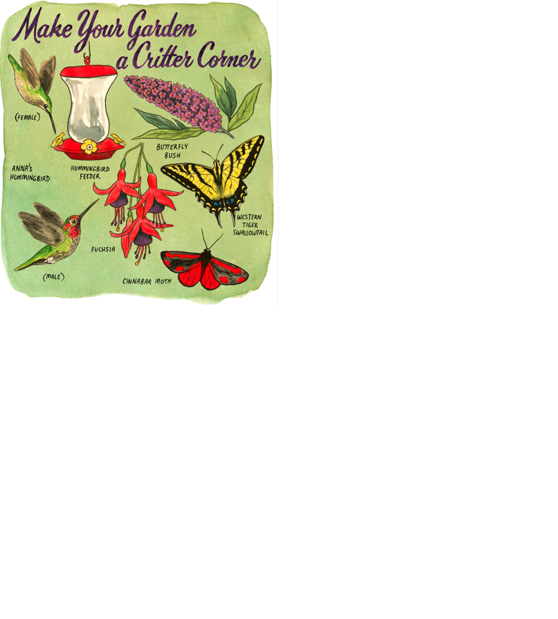 Make Your Garden a Critter Corner | Home + Garden | 425magazine.com