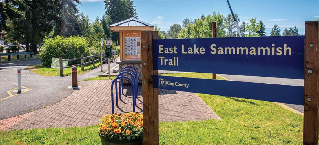 Bike, Walk, Run, and Roll the New East Lake Sammamish Trail | Travel ...