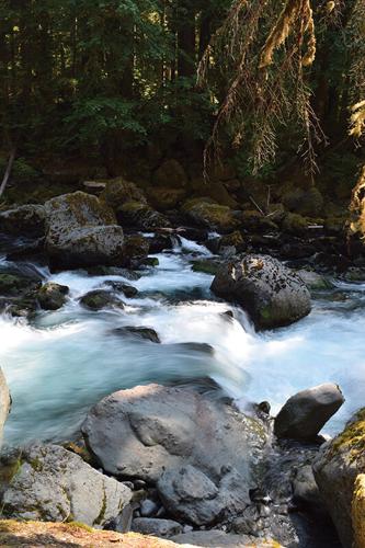 Hike: Staircase Rapids Loop | Travel + Outdoors | 425magazine.com