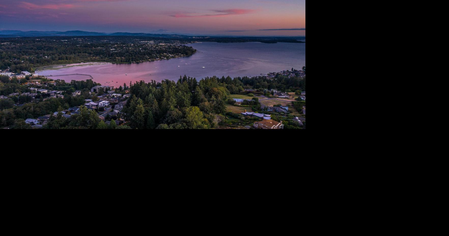 How the Ignite Kirkland Initiative Encourages Local Giving | Culture ...