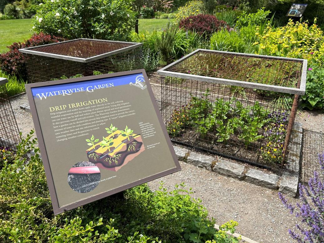 A Summer Place: Visit Bellevue's Waterwise Garden | Home + Garden ...