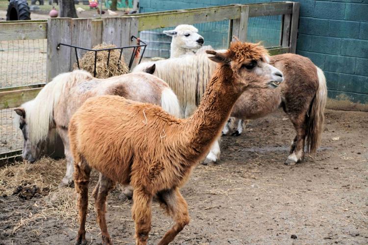 PAWS Farm Nature Center, Mount Laurel | | 70and73.com
