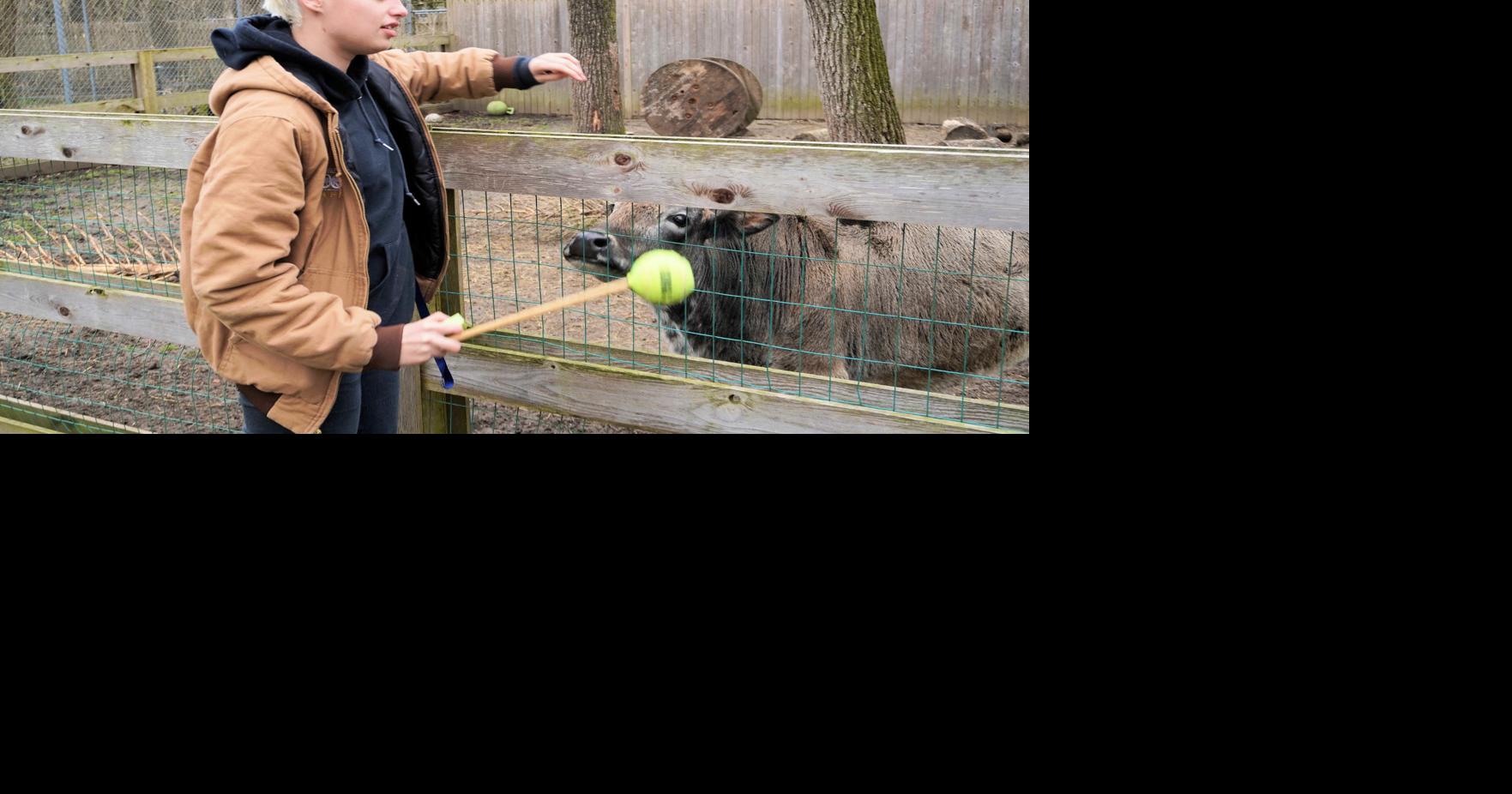 Throng of fans shows up at Paws Discovery Farm in Mount Laurel to say ...