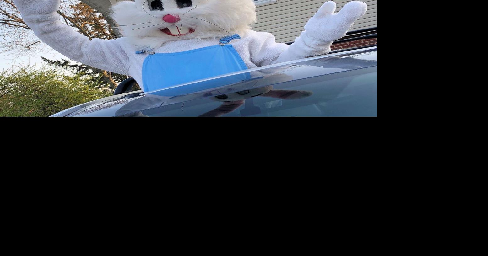 A tired Easter Bunny got a good night's sleep to be 100% for Easter ...