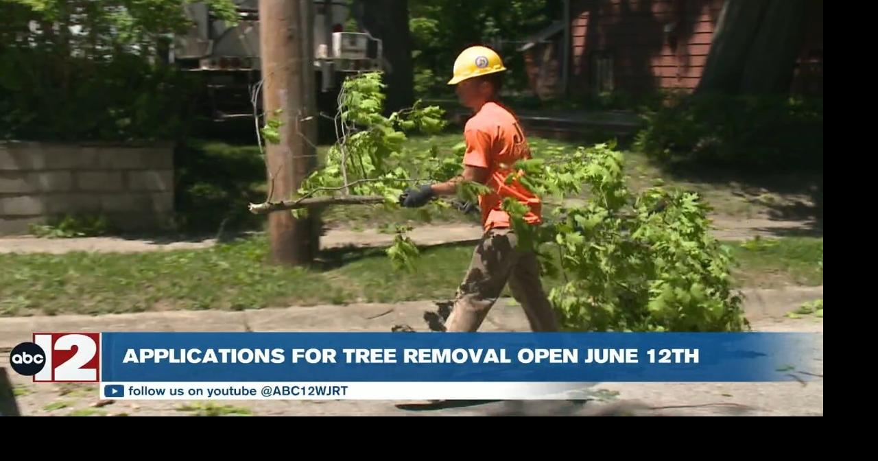Flint hazardous tree removal program opens June 12 | Video | abc12.com