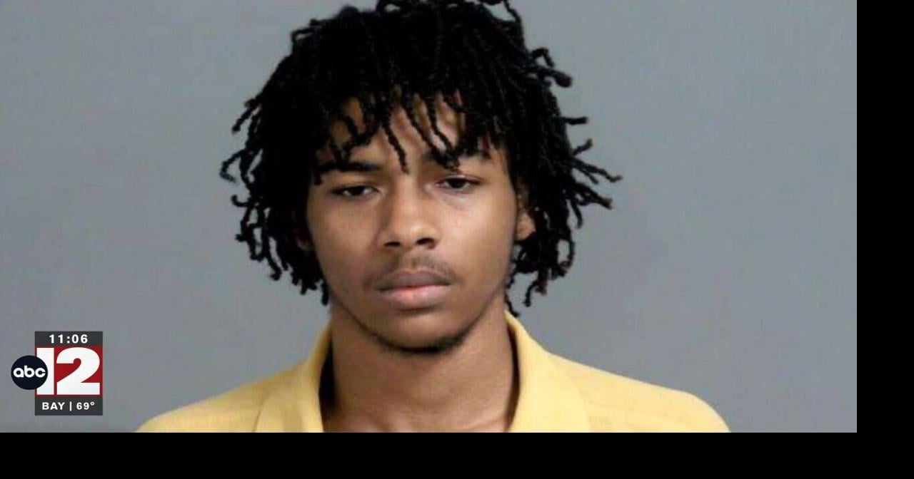 19-year-old planning insanity defense in Beecher murder trial | Crime ...