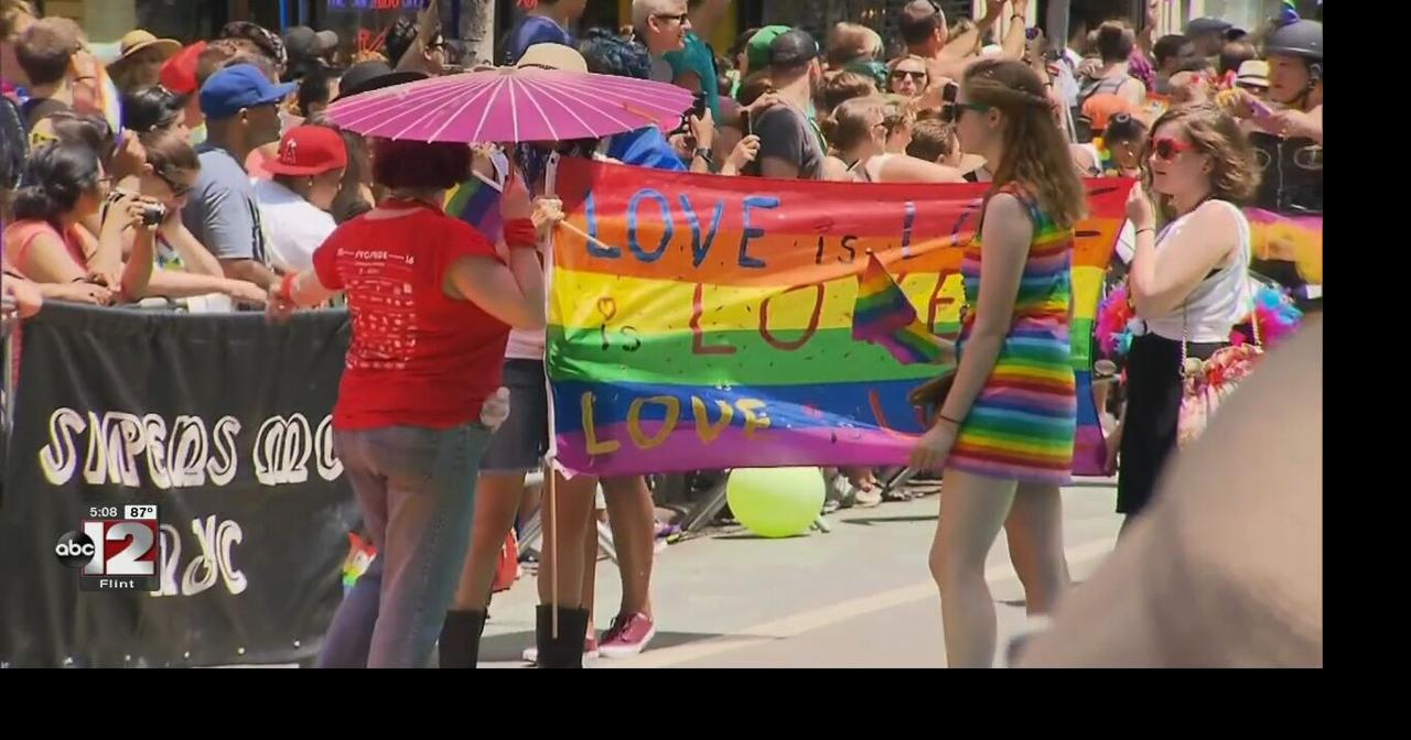Michigan House passes LGBTQ+ pride resolution | State | abc12.com