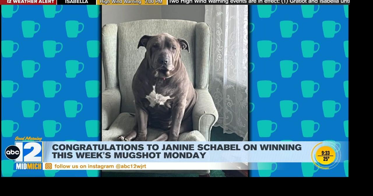 Mugshot Monday winner! | Video | abc12.com