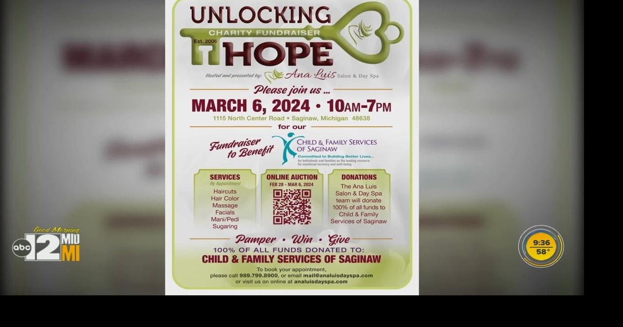 Ana Luis Salon & Day Spa in Saginaw raising money for assault victims ...