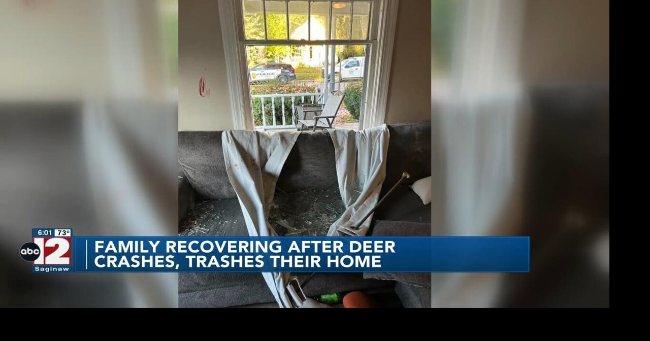 Mt. Pleasant family recovering after deer crashes and then trashes ...