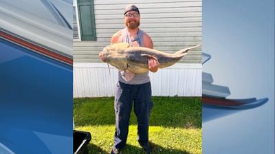 flathead catfish record weight
