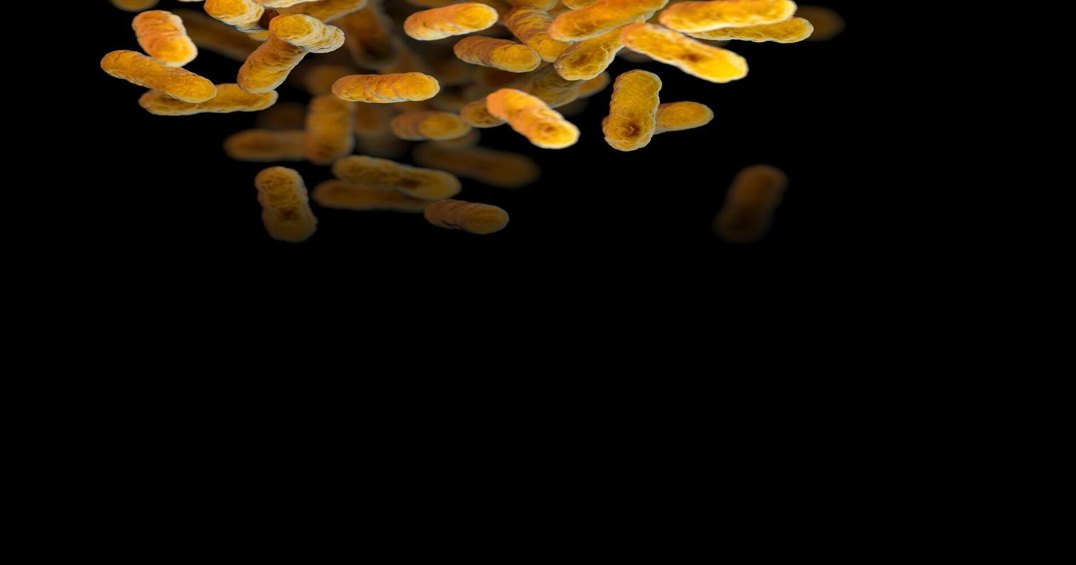 Linden High School takes precautions after whooping cough illness ...