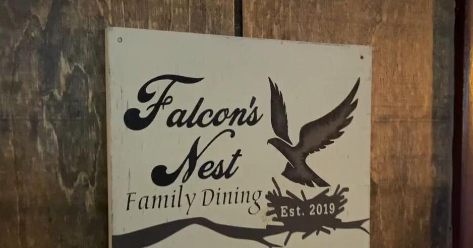 Falcon's Nest in Columbiaville known for 'The Falconator Challenge ...