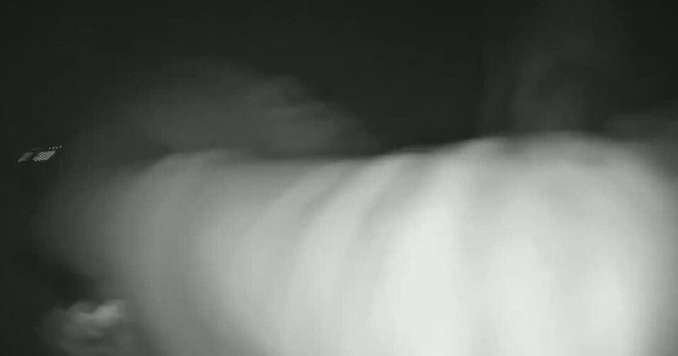 Body camera video shows Caseville officer Taser former NFL player ...