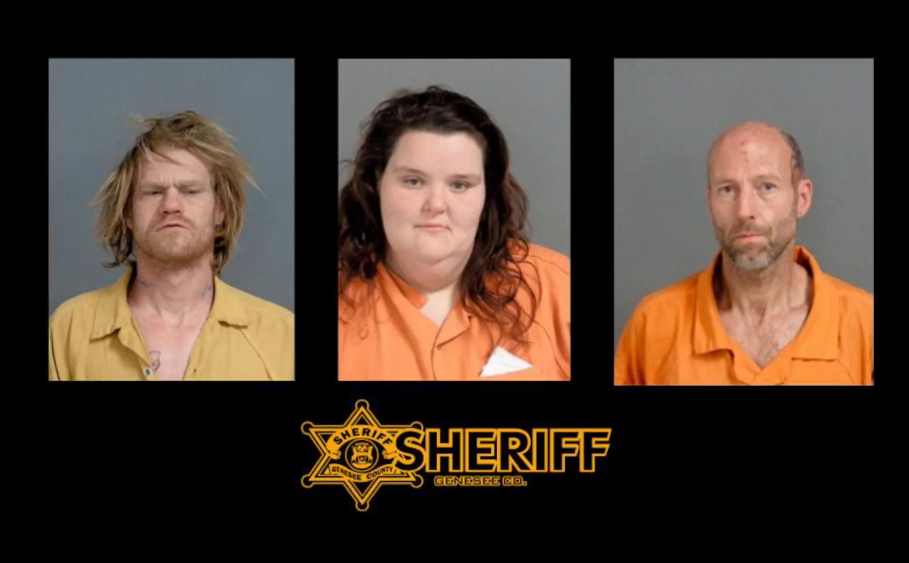 Three Flint adults charged with child and animal abuse | Crime | abc12.com