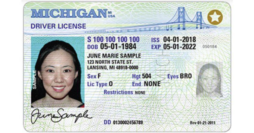 Michigan offering written driver's test online for some applicants ...