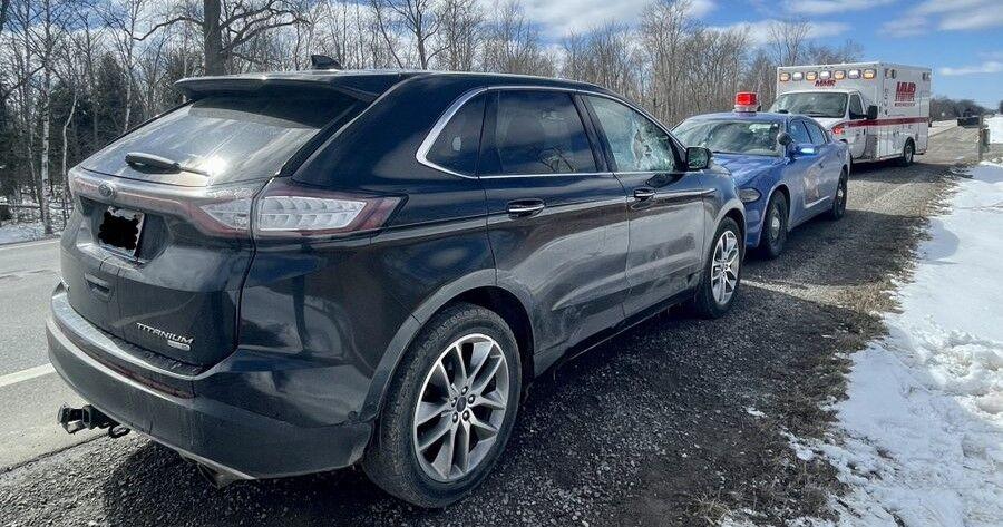 Michigan State Police stop erratic driver having medical emergency ...