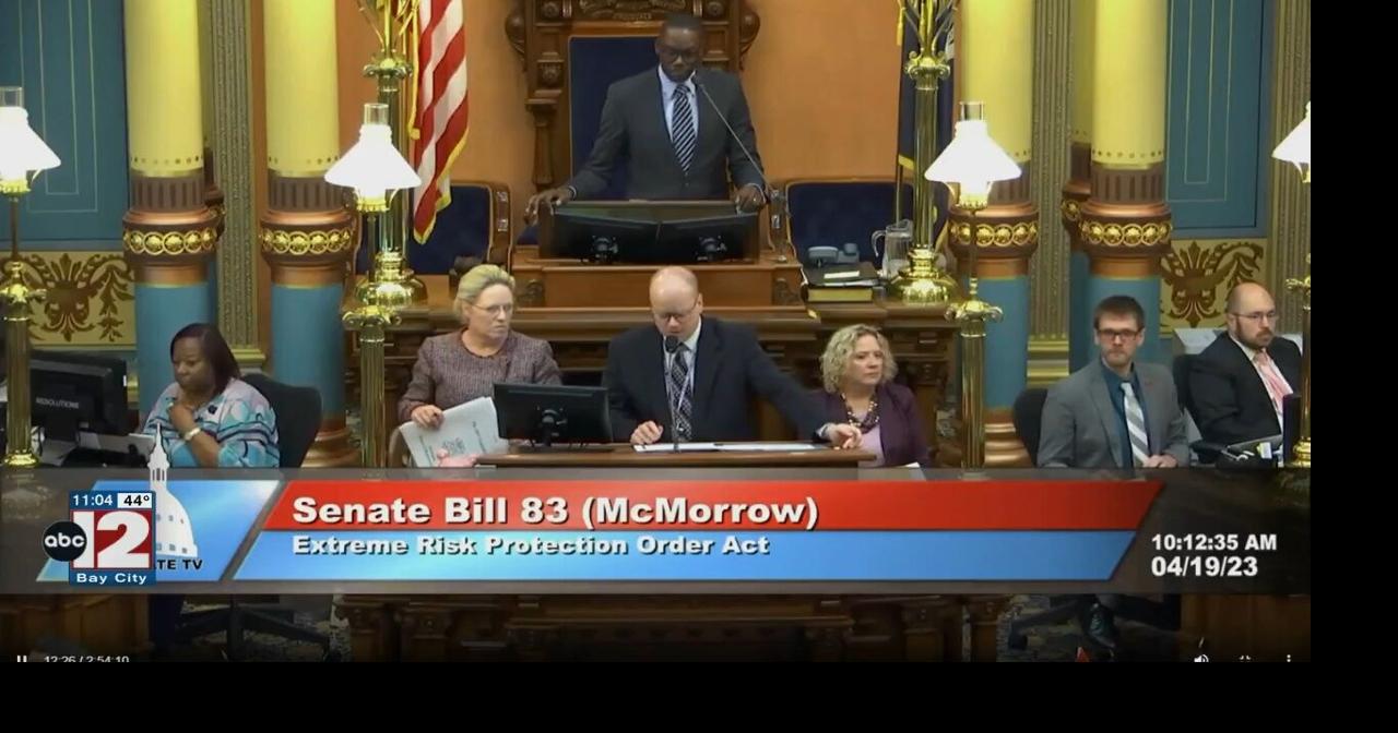 Michigan Legislature approves gun safety 'red flag' law | State | abc12.com